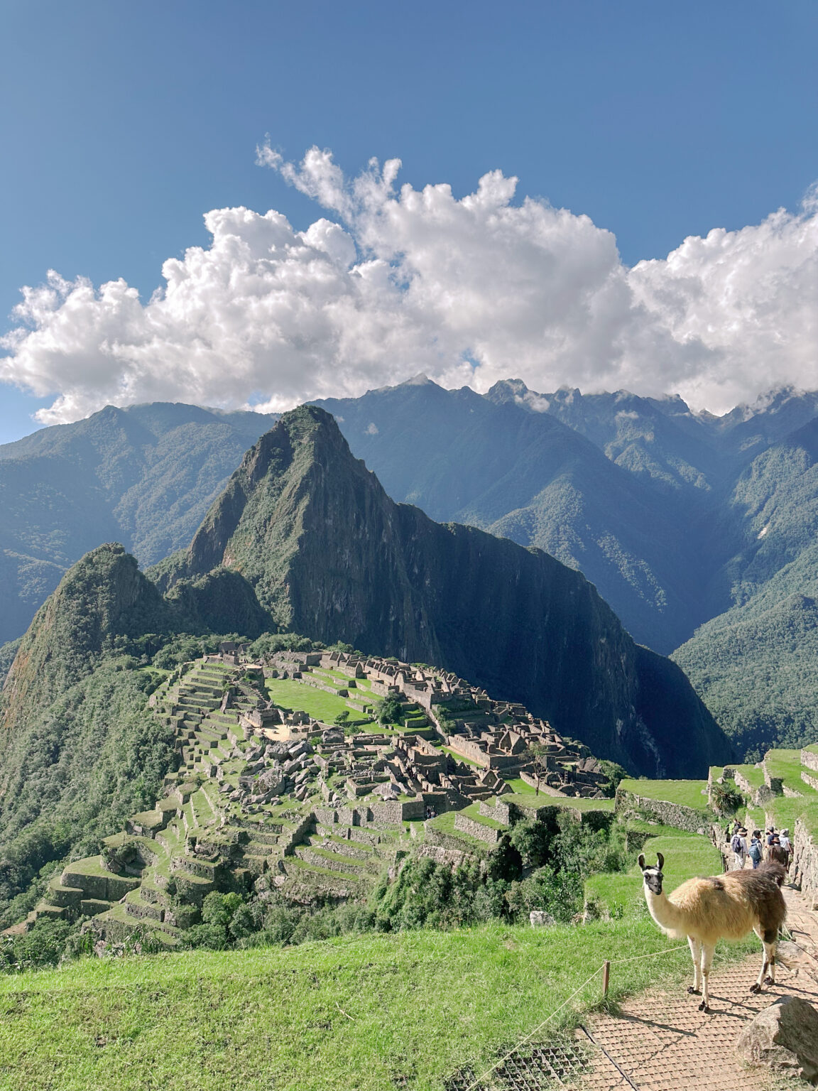 Machu Picchu: A Visitor's Guide - unfoldedtravels.com